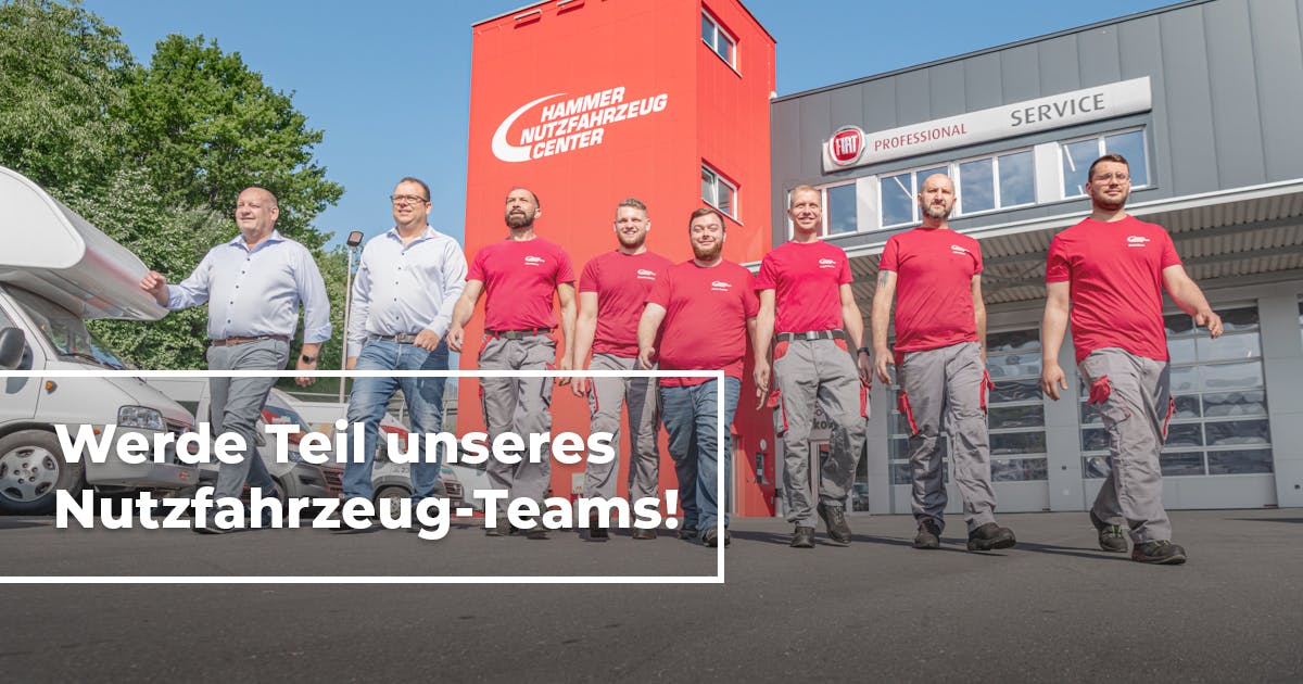 Werde Teil des Hammer-Teams!